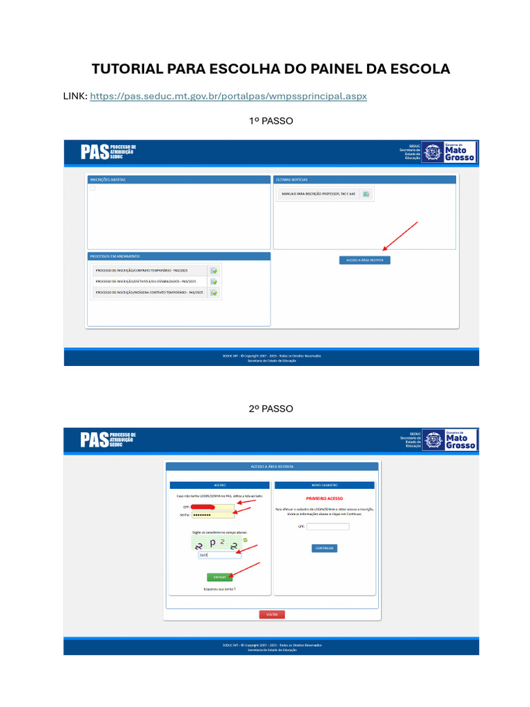 Tutorial para Escolha Do Painel Da Escola | PDF