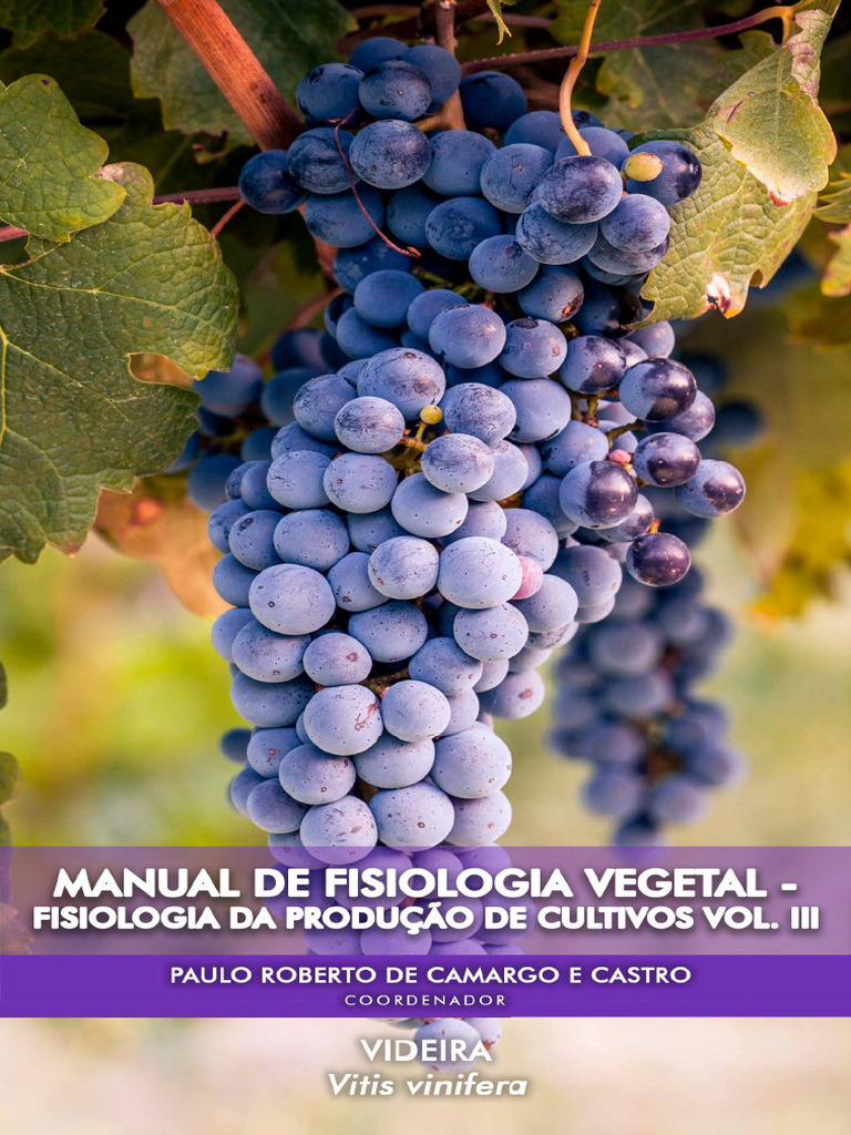 2025 Manual de Fisiologia Vegetal - Fisiologia Da Produção de Cultivos ...