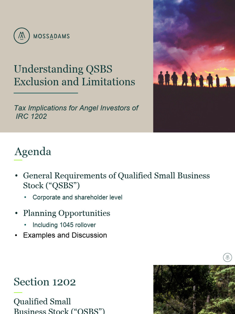 Understanding QSBS Exclusion and Limitations | PDF | Alternative ...
