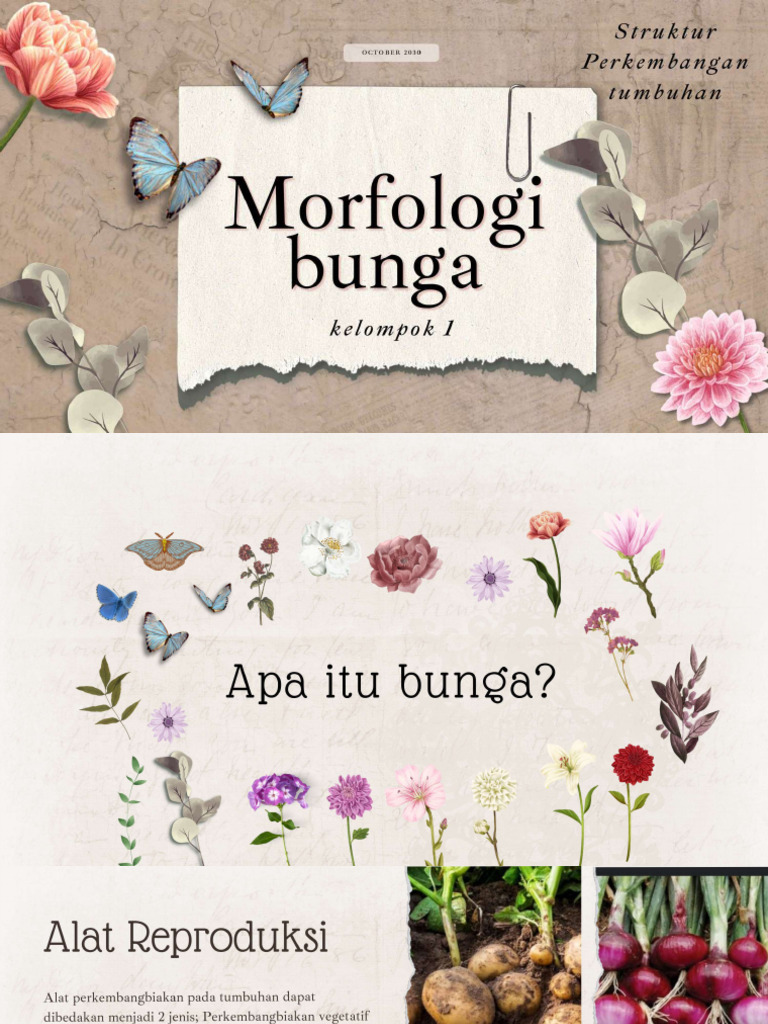 SPT Morfologi Bunga | PDF