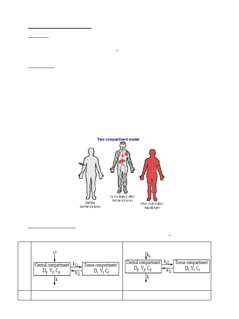 Multiple Compartment Model | PDF | Pharmacokinetics | Pharmacology