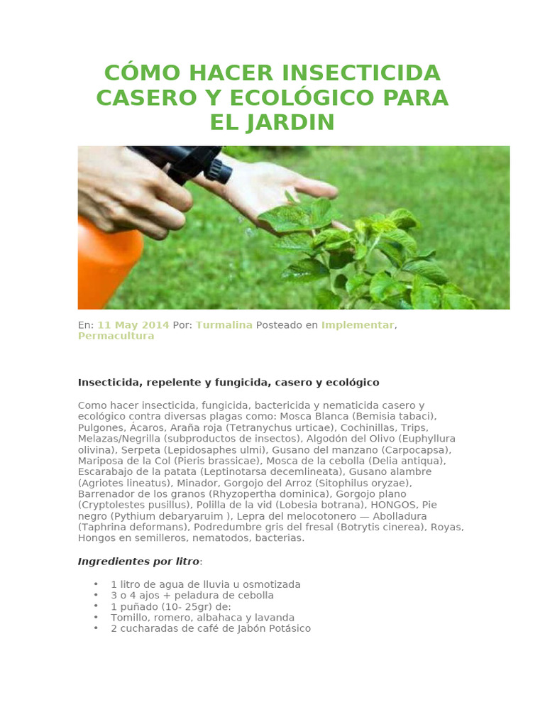 Insecticida Ecológico Casero para Jardín | PDF