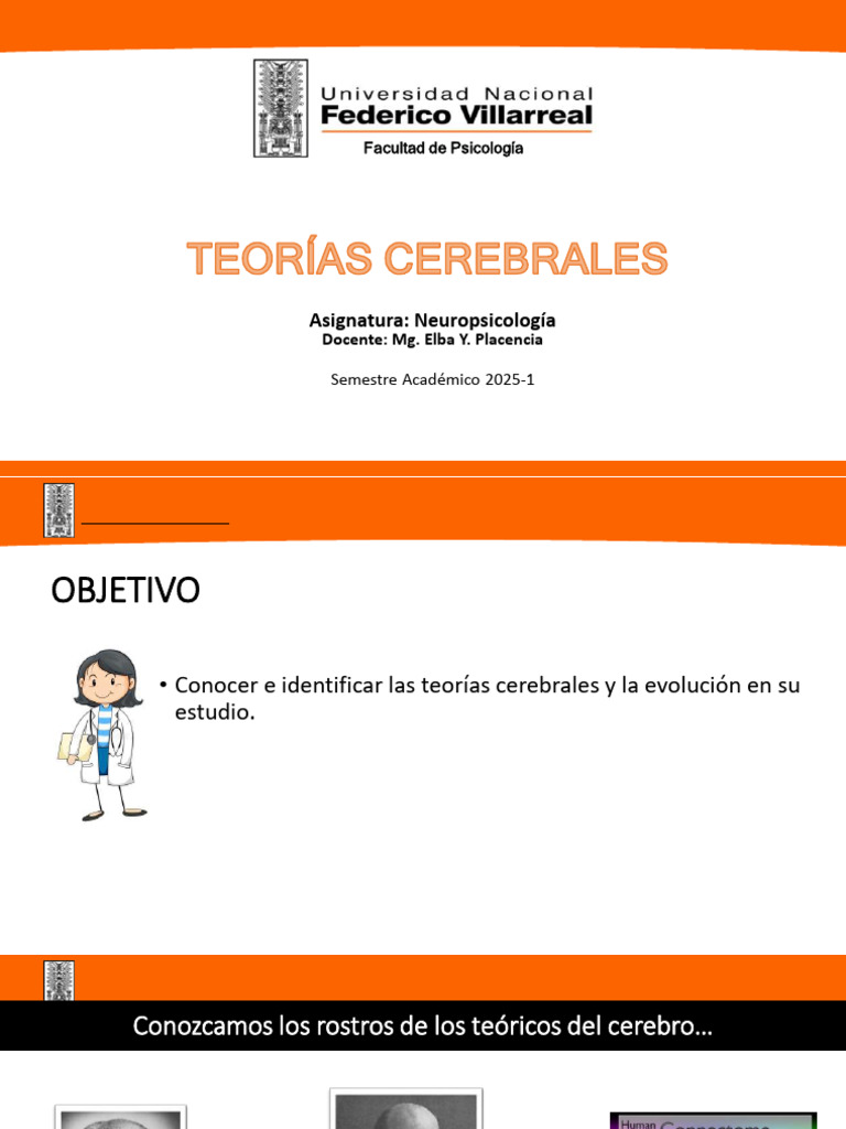 Tema3-4 - Teorías Cerebrales | PDF | Cerebro | Hemisferio cerebral
