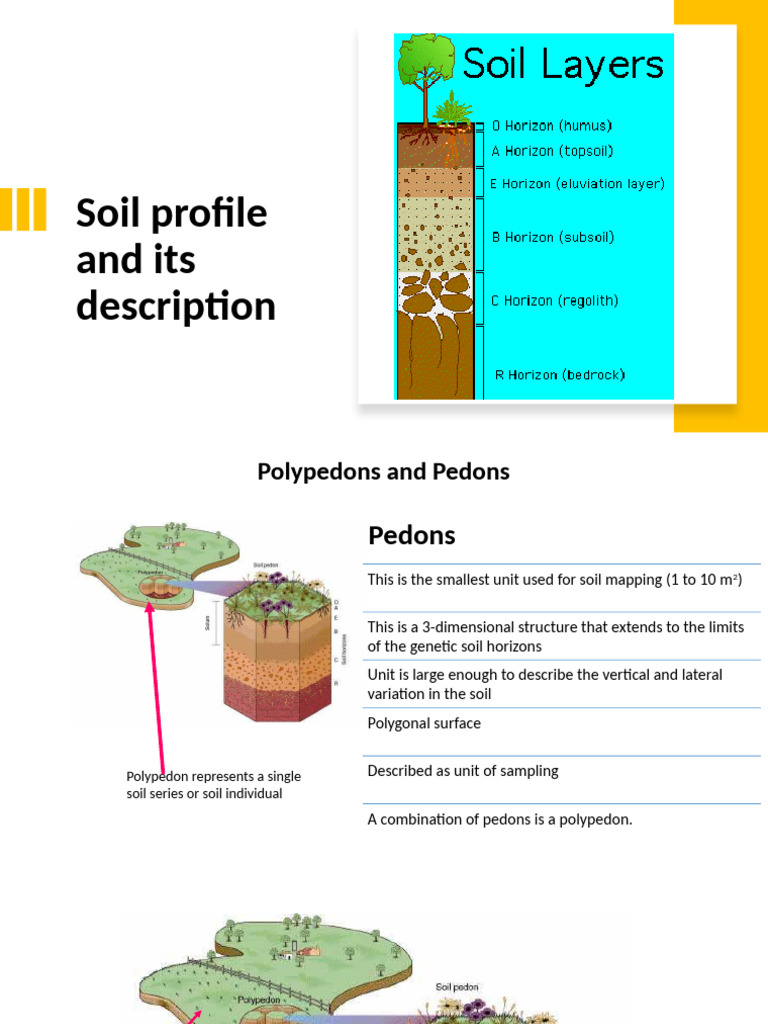 Chapter-7, Soil Profile | PDF | Soil | Natural Sciences