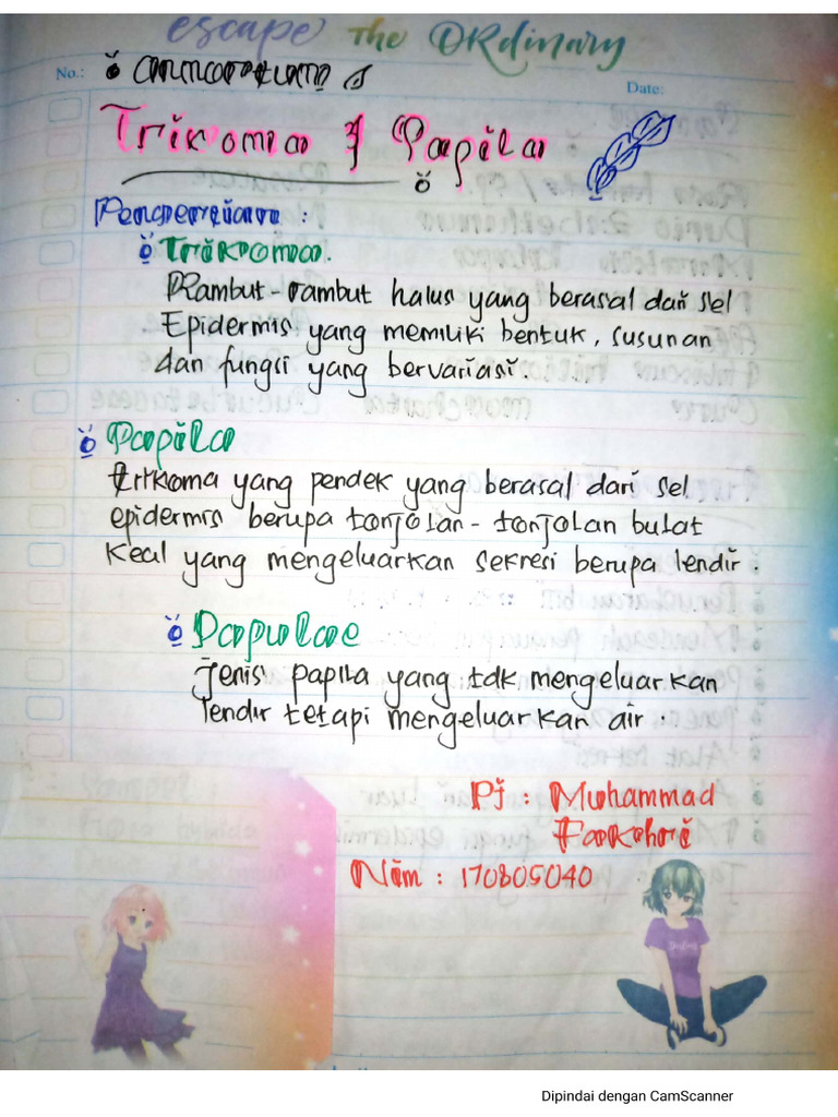 Materi Prak Anmortum | PDF