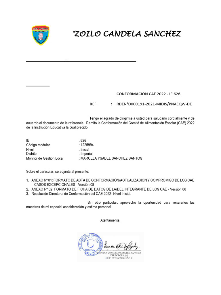 Remito Conformacion Del Cae 2022 Iep 626 | PDF