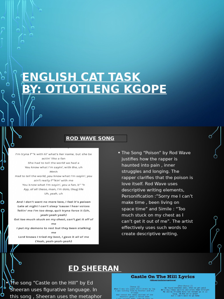 Kopano's English CAT TASK | PDF