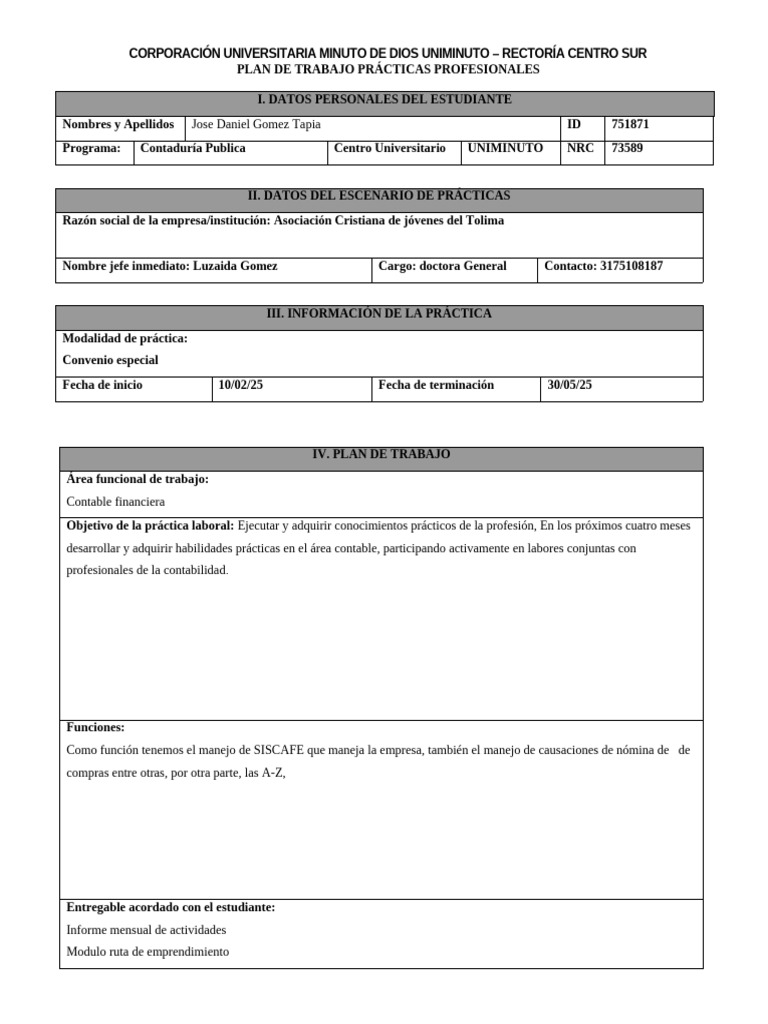 Dani Plan de Trabajo 2025 2 | PDF | Contador