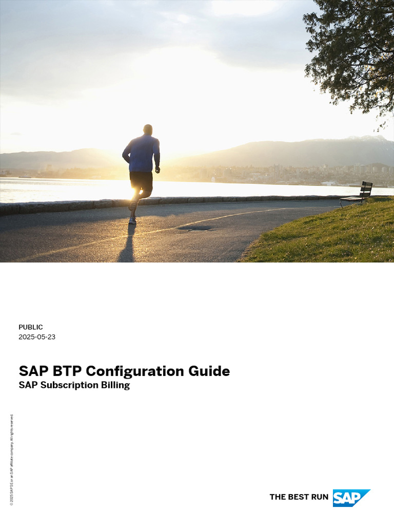 BTP Platform Configuration | PDF | Cloud Computing | Subscription ...