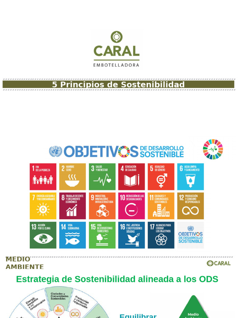 5 Principios de Sostenibilidad | PDF | Sustentabilidad | Residuos
