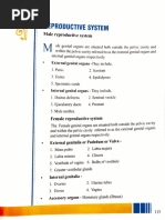 Understanding the Penile Raphe Line | PDF | Genitourinary System ...