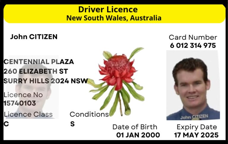 NSW Driver Licence Sample Card | PDF