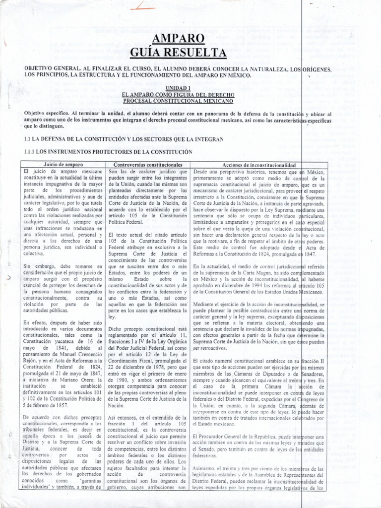 Guía de Amparo | PDF