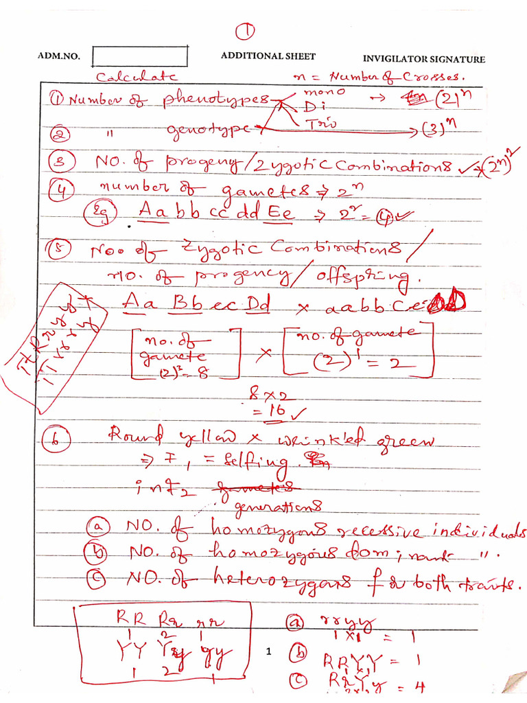 Principles of Inheritance Numericals 29-1-25 | PDF