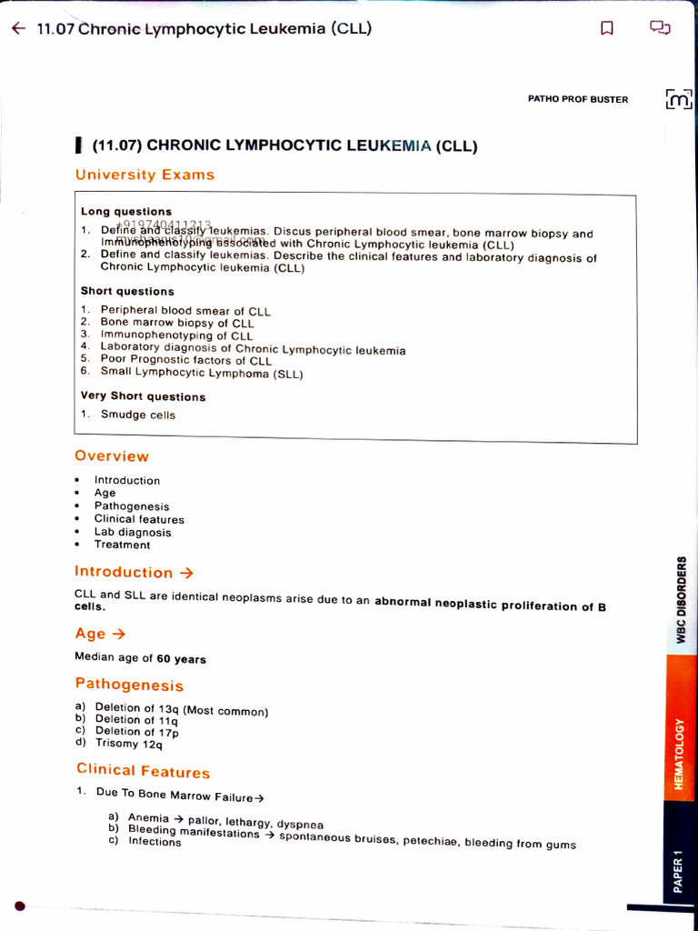 Pathology Slides | PDF