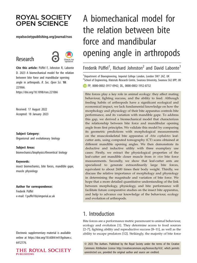 Püffel Et Al 2023 A Biomechanical Model For The Relation Between Bite ...