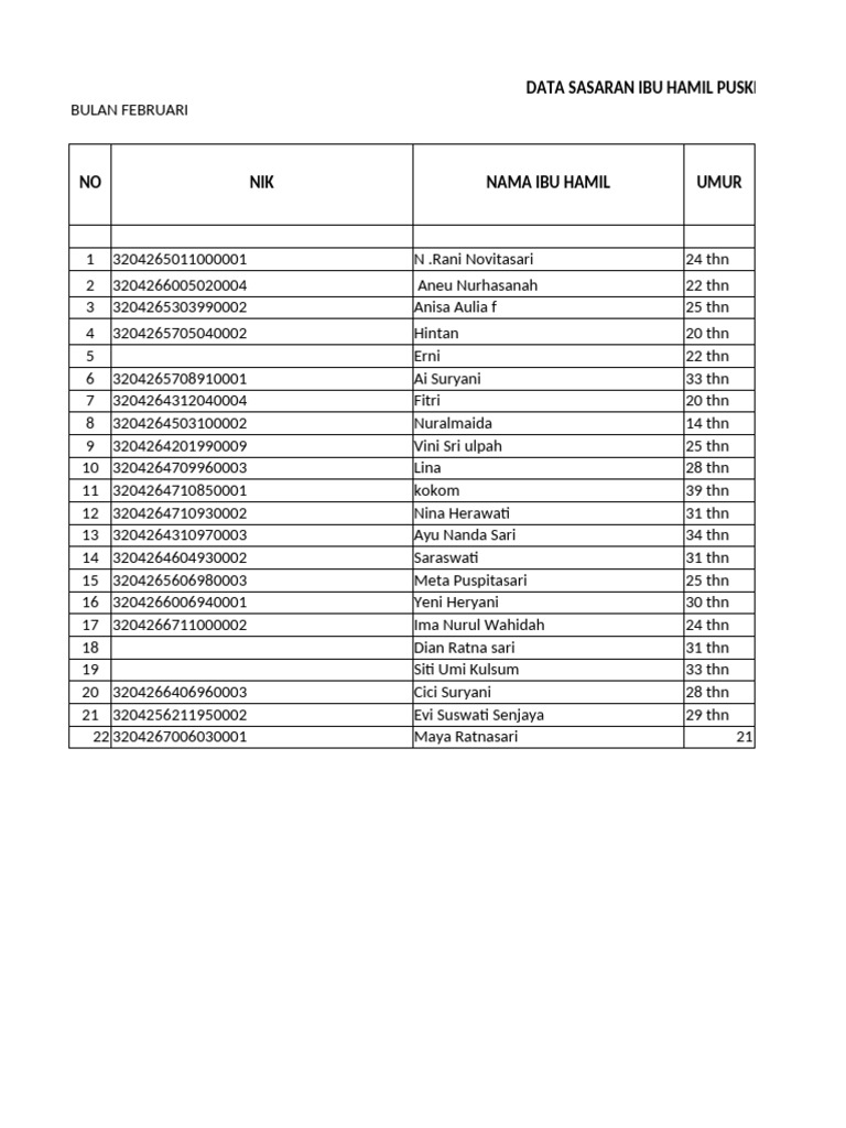 Format Bnba Ibu Hamil Puskesmas Kab Bandung 2025 | PDF