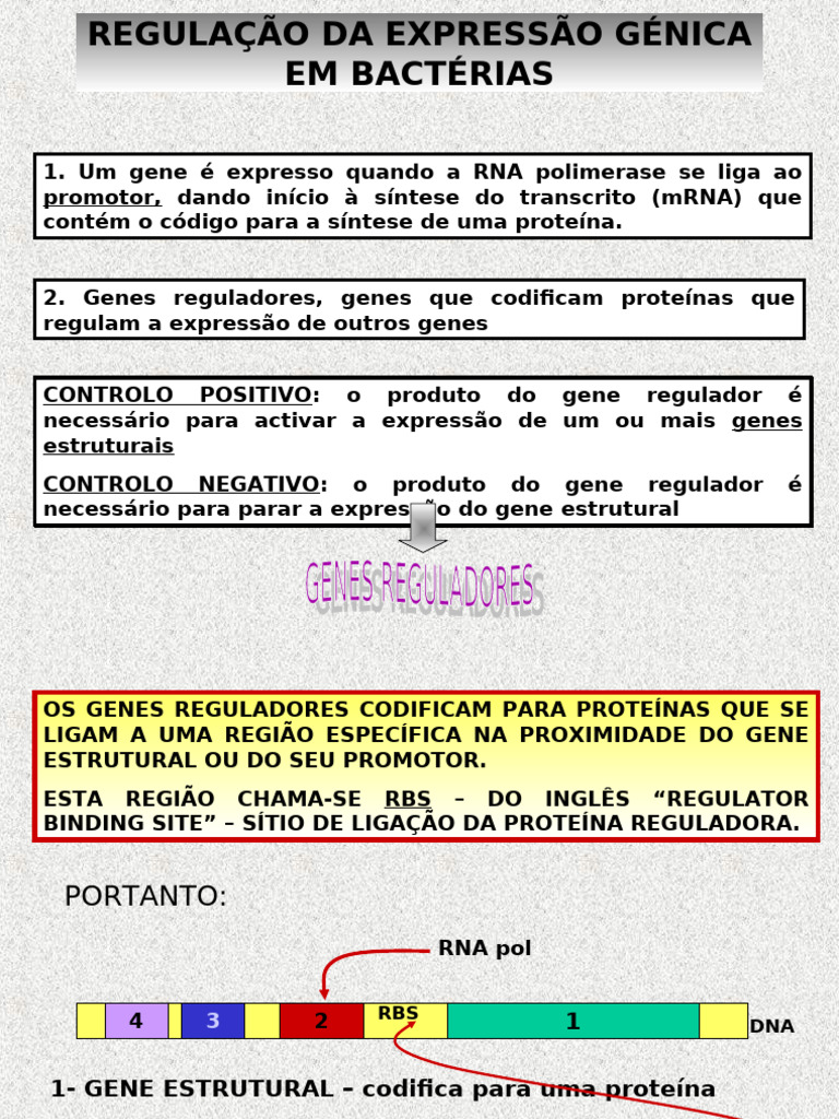 Aula 3 - Regulação Da Expressão Génica | PDF | Gene | Promotor (genética)