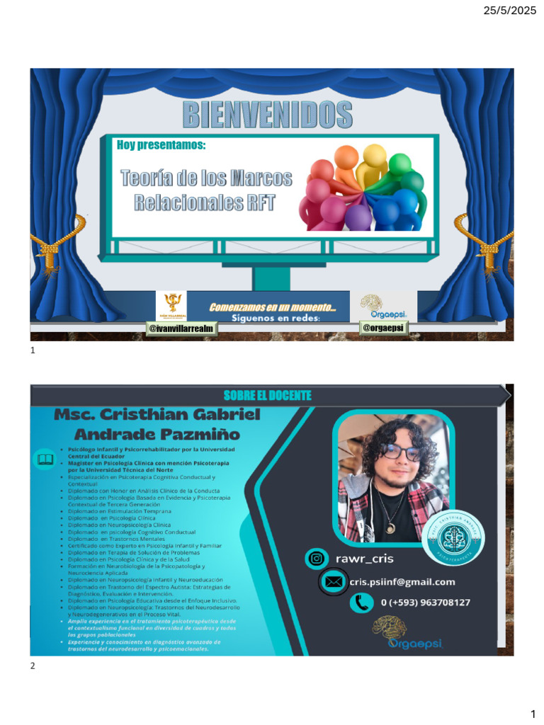 6 RFT Teoría de Los Marcos Relacionales | PDF | Comportamiento | Experiencia