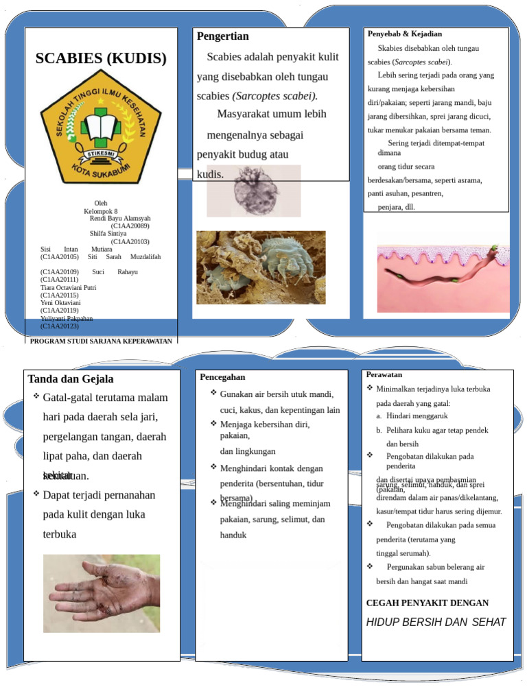 Leaflet (Scabies) | PDF