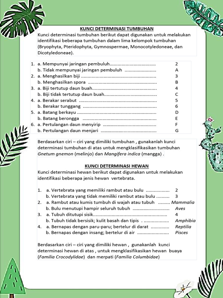 Kunci Determinasi Tumbuhan Dan Hewan | PDF