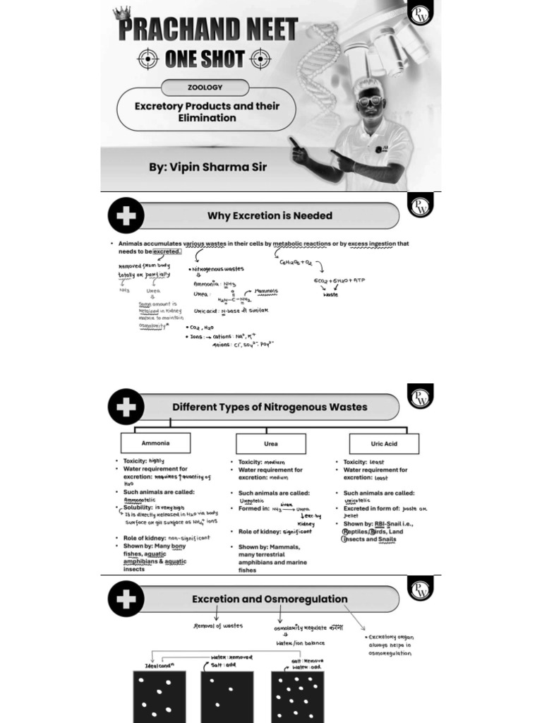 678a29e84a31f5f4b202ca59 - ## - Excretory Products & T - 250423 - 211341-Inv.. (N-Up 1x2) | PDF