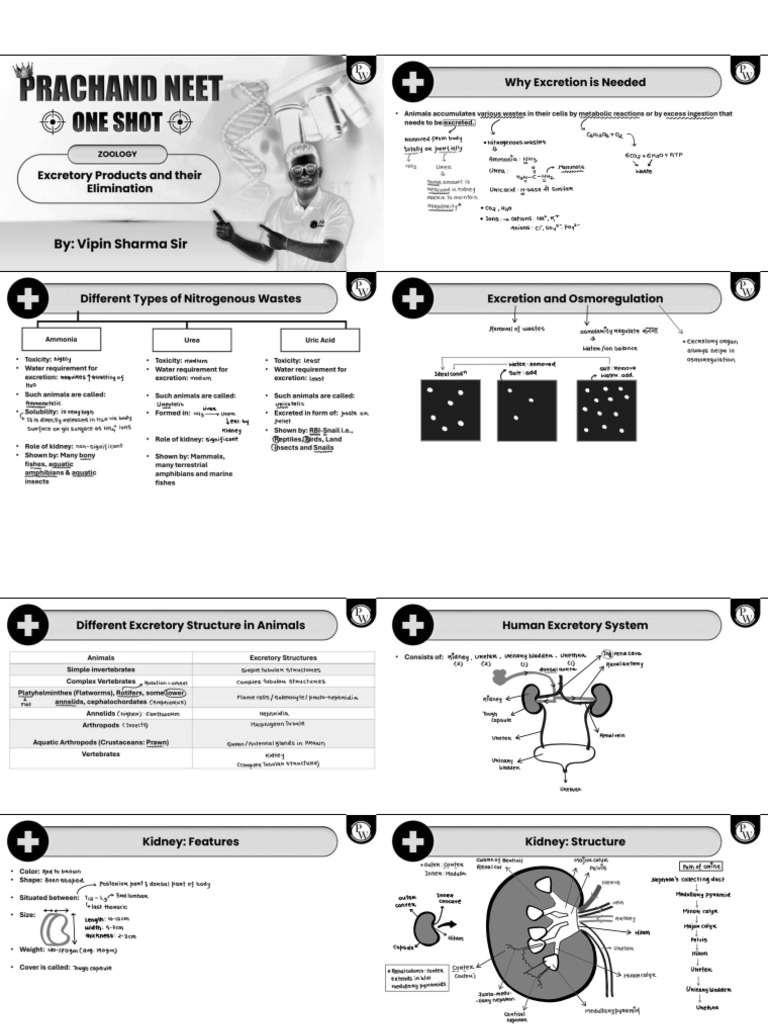 678a29e84a31f5f4b202ca59_##_Excretory Products & t_250423_211341-inv ...