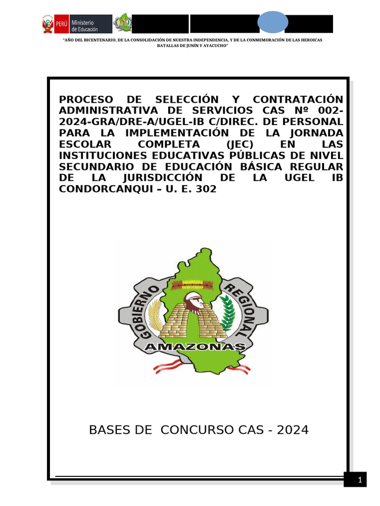 TDR 2da Convocatoria Jec | PDF