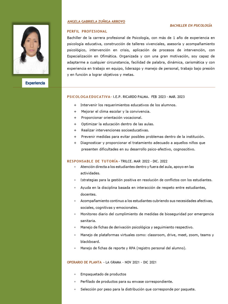 CV - Angela Zuñiga Arroyo | PDF | Sicología | Psicología Educacional