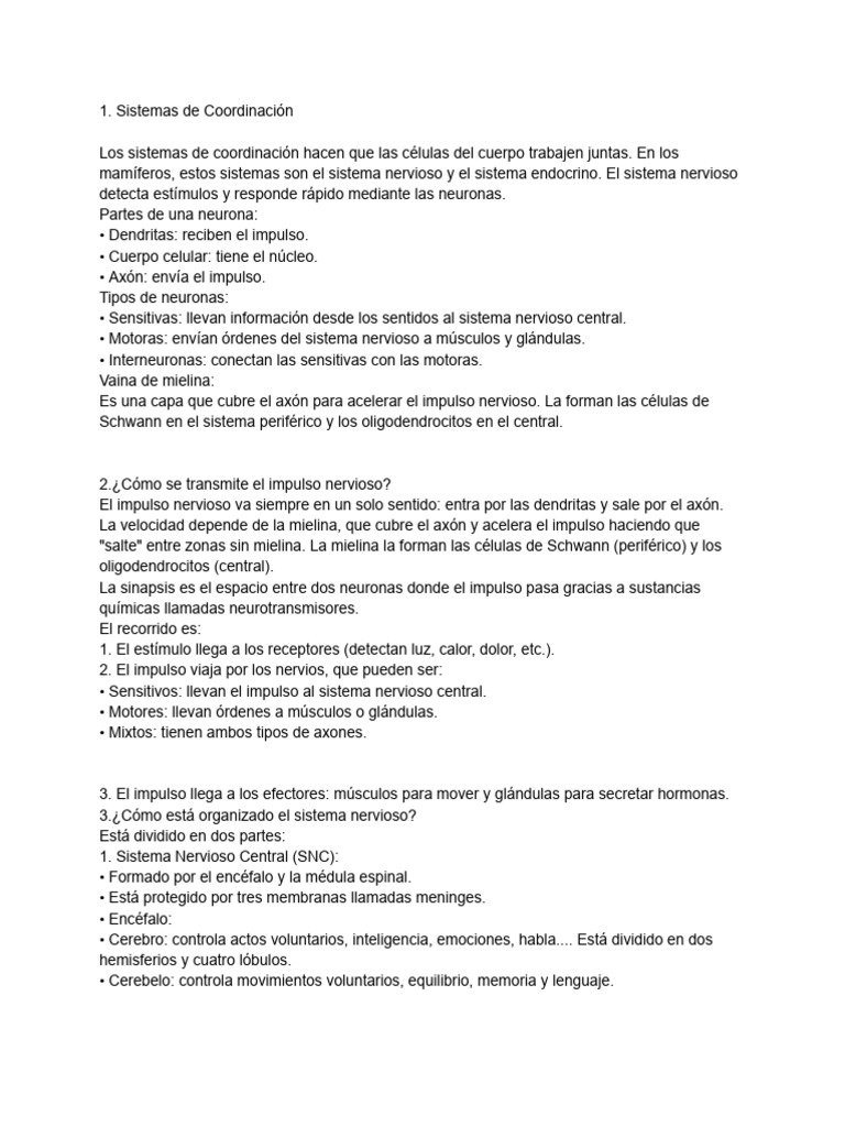 Odio Esto | PDF | Sistema nervioso | Axon