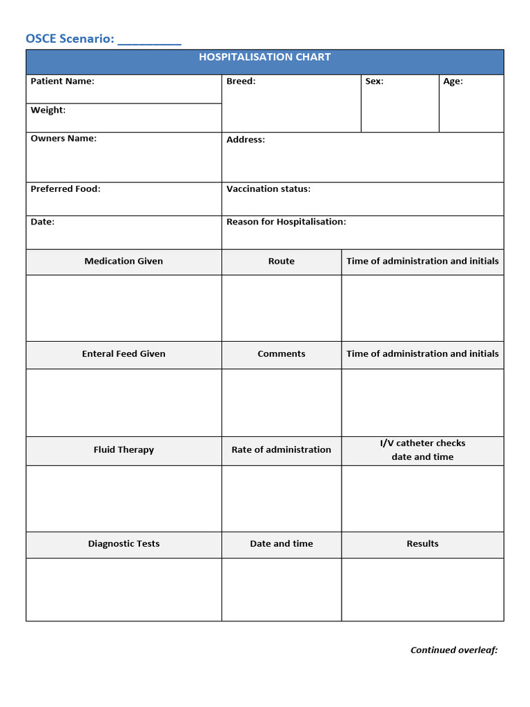 Sample Hospital Sheet | PDF