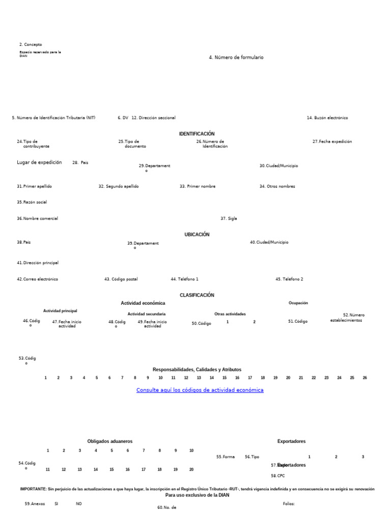 Rut Editable para Envio A La Dian. | PDF