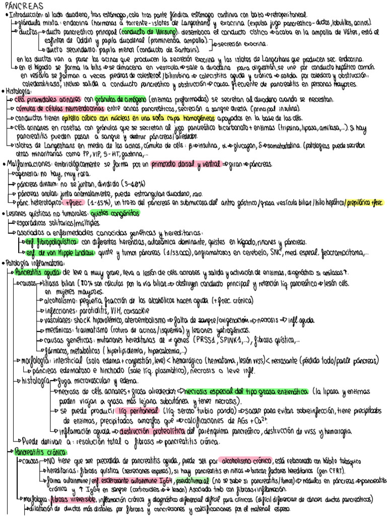 Preformadas) : Morfología | PDF | Páncreas | Anatomía