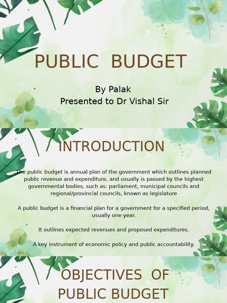 Public Budget by Palak | PDF