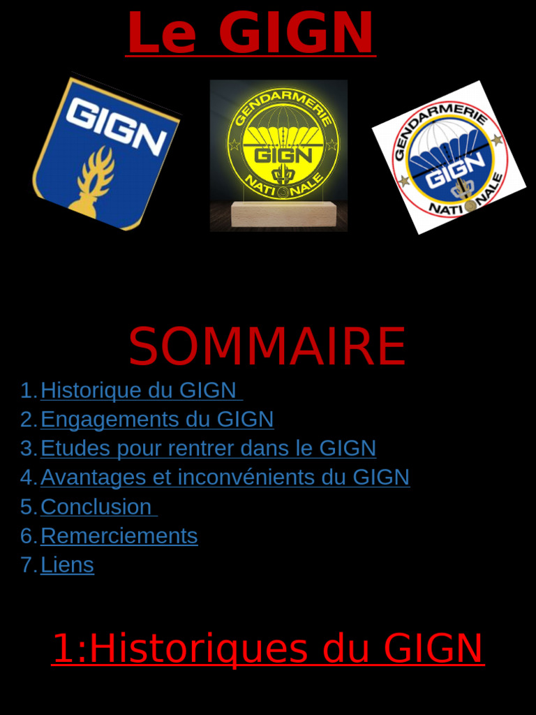 Tout sur le GIGN : Histoire et Engagements | PDF