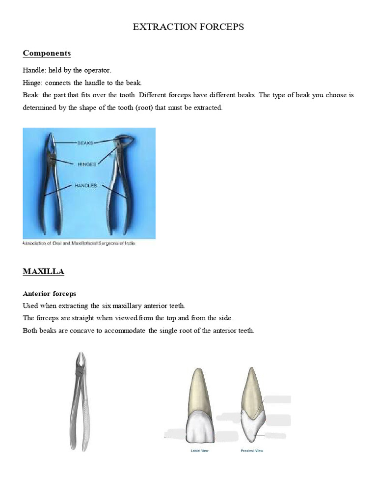 Types of Dental Extraction Forceps | PDF | Tooth | Beak