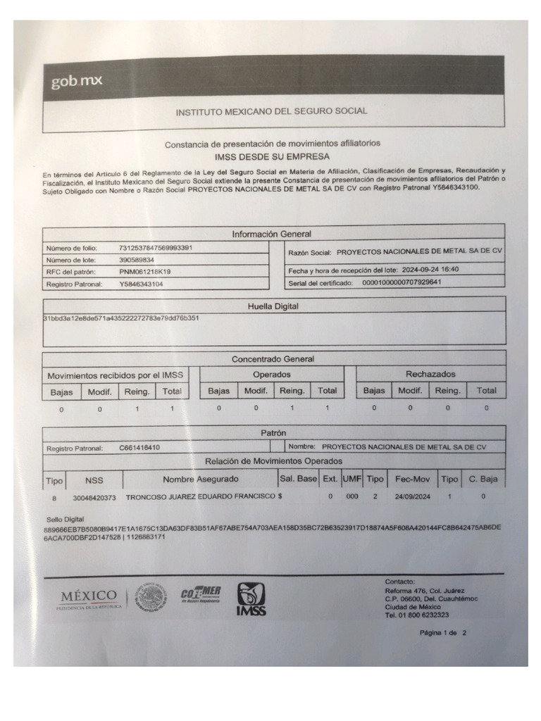 Altas IMSS PRONAMET | PDF