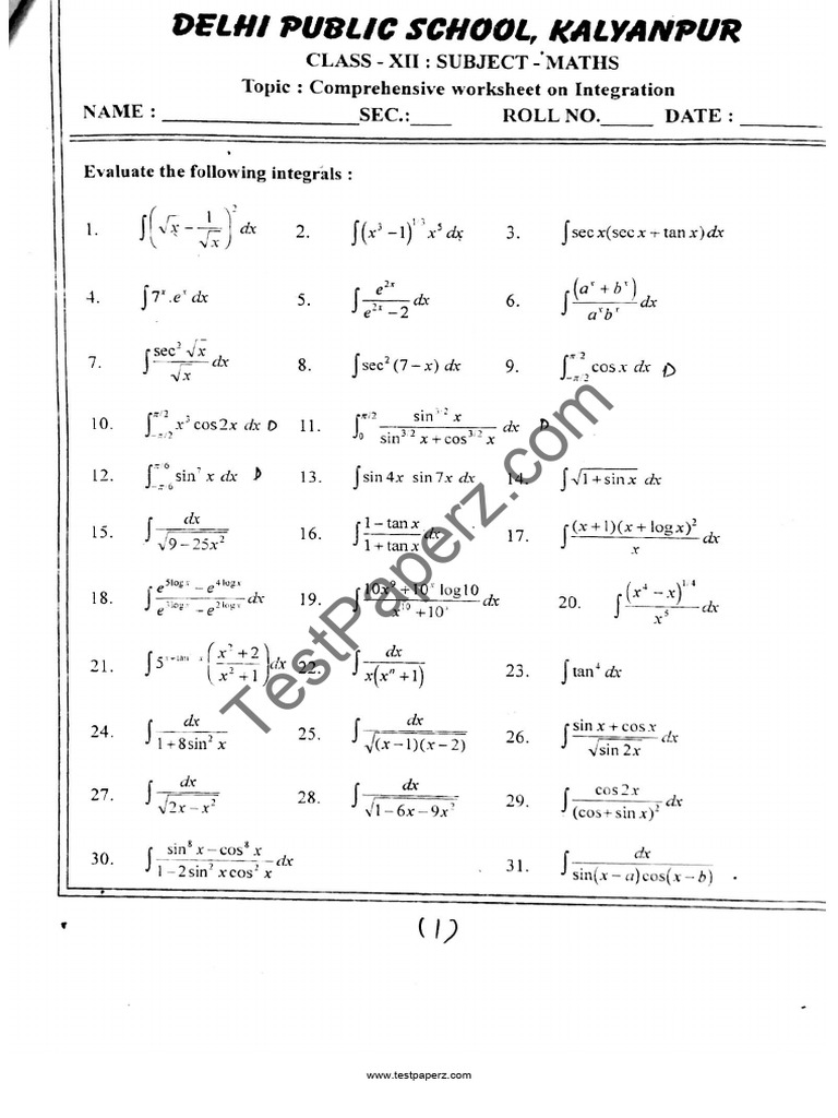DPS Kalyanpur Integration Worksheet | PDF