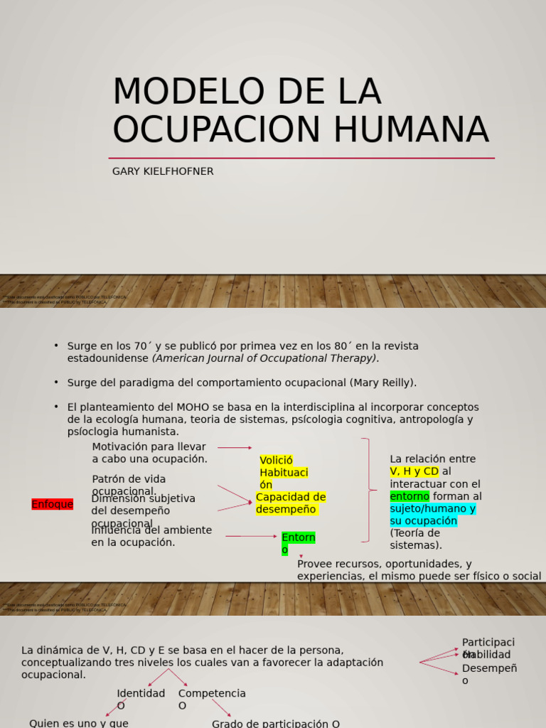 Modelo de Ocupación Humana MOHO | PDF | Ciencia cognitiva | Cognición
