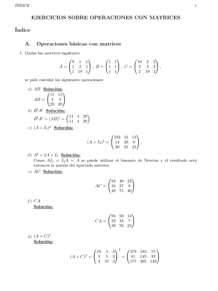 Ejercicios Resueltos_Operaciones Entre Matrices y Determinantes | PDF ...