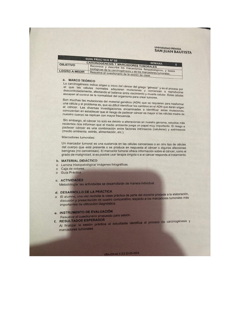 Documento Sin Título | PDF
