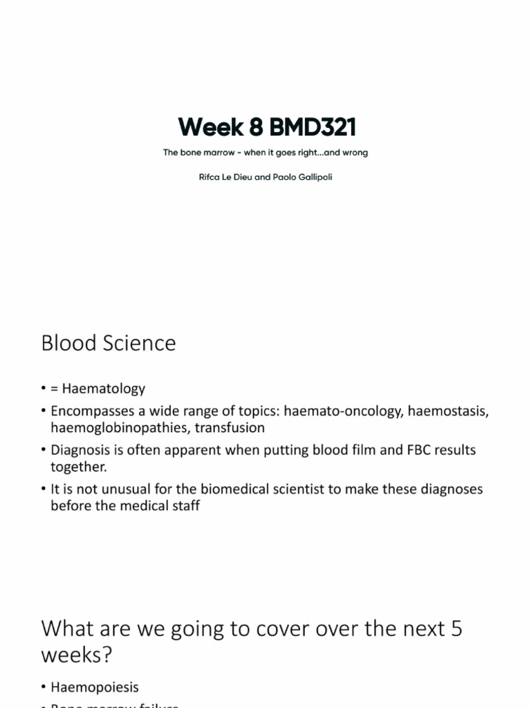 Lecture 11 bmd321 Bone Marrow | PDF