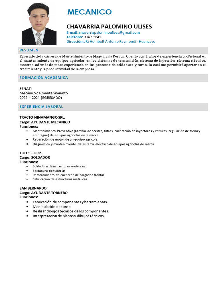 CV ULISES CHAVARRIA PALOMINO | PDF