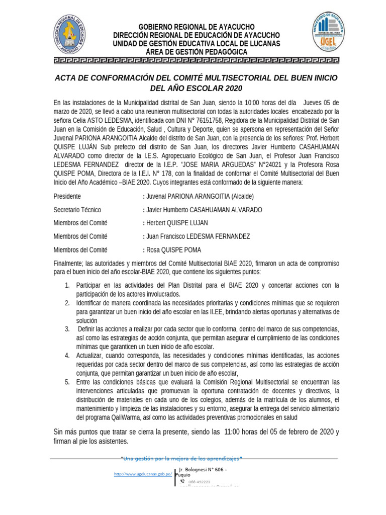Comité Multisectorial BIAE 2020 Ayacucho | PDF | Aprendizaje