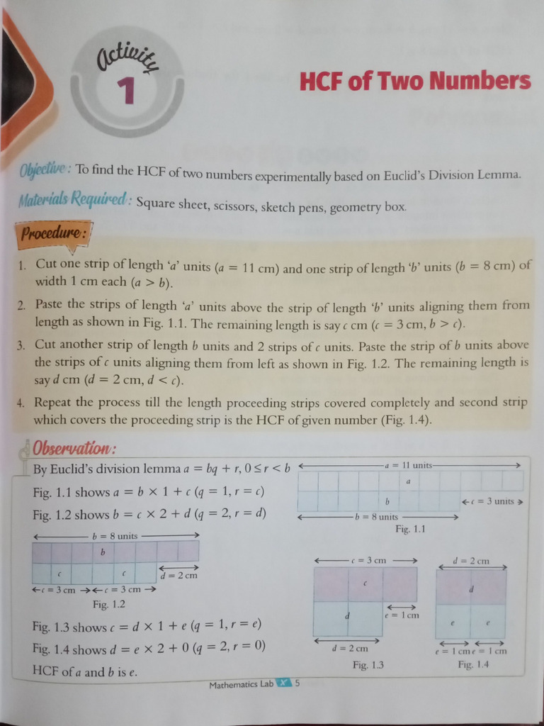Maths Acitivity | PDF