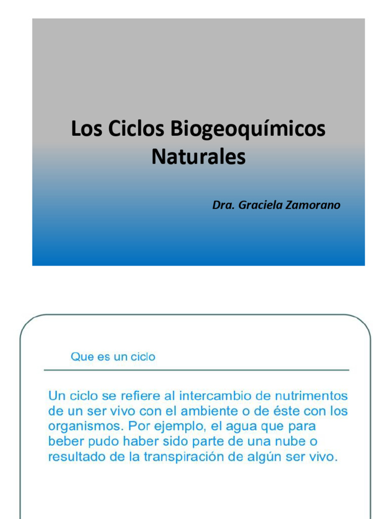 Clase 3 - Ciclos Naturales 2025 | PDF | Biología | Nitrógeno