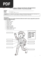 Subrox L Inserto WEB | PDF | Medicamentos con receta | Alergia