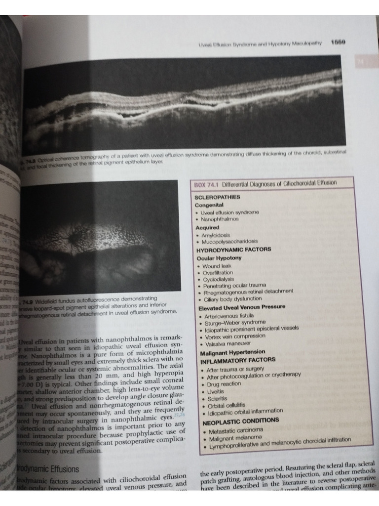 Image To PDF 20250602 23.04.10 | PDF