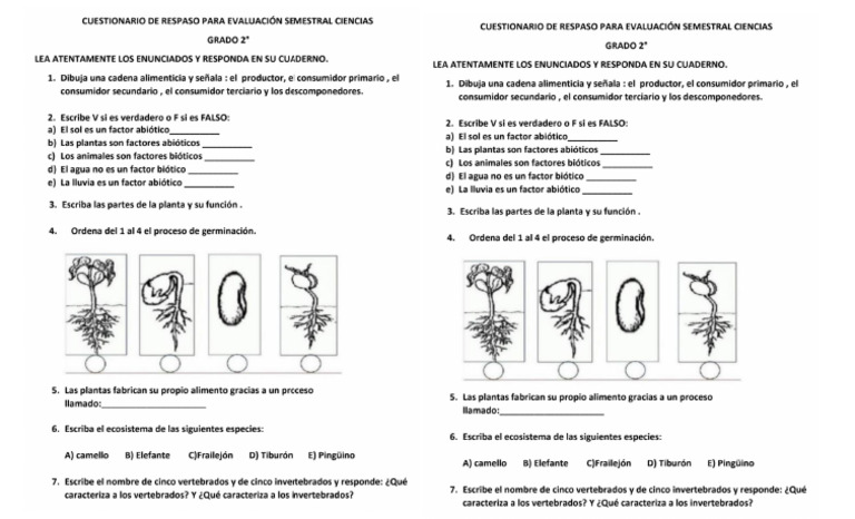 Repaso de Ciencias Segundo | PDF