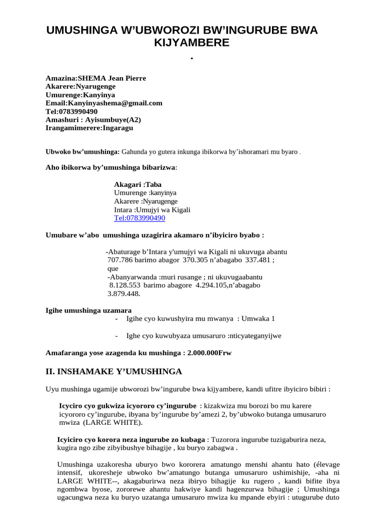 Umushinga W'ubworozi Bw'Ingurube | PDF